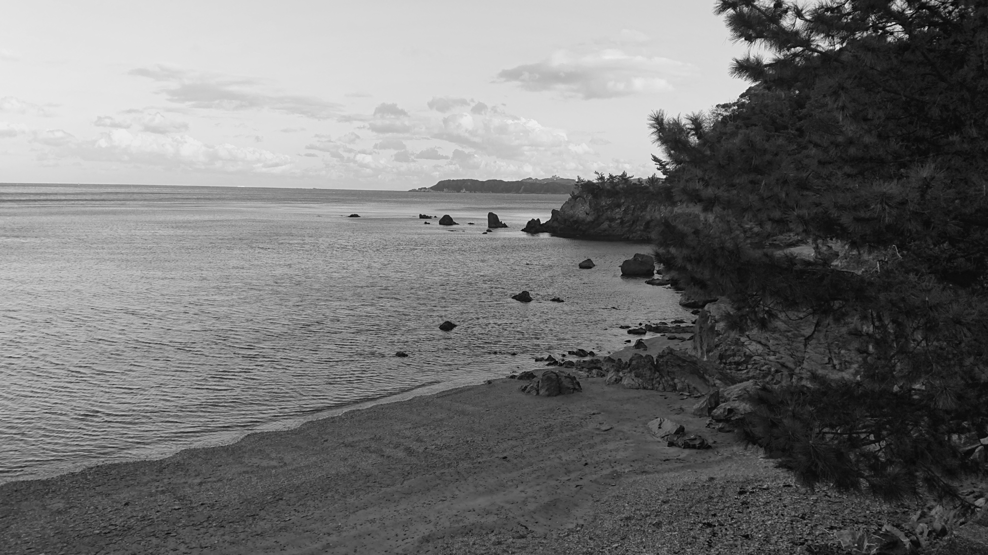 Apps development dat& - アプリ開発 dat&